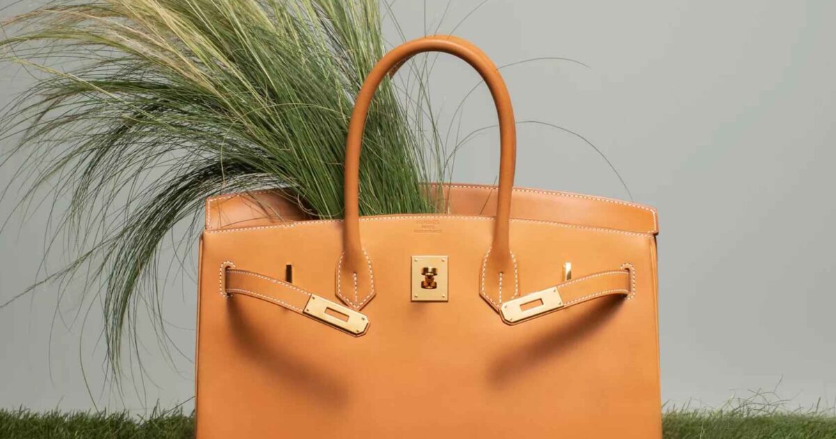 Εσείς θα αγοράζατε μια Wirkin αντί μιας Birkin;