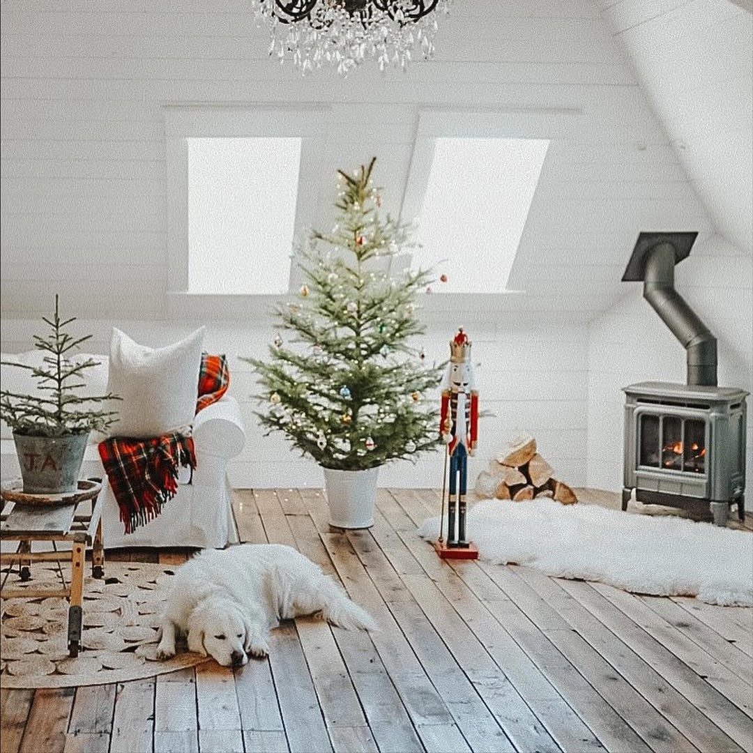 3 χριστουγεννιάτικα δέντρα από το Zara Home, χωρίς στόλισμα
